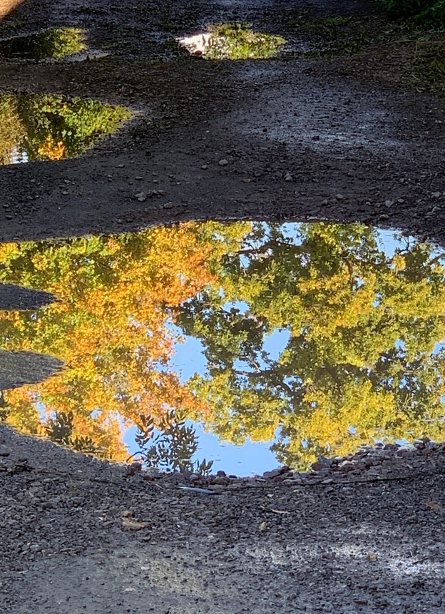 Jen Bromham – from the 2022 Art Show – Anawim Arts